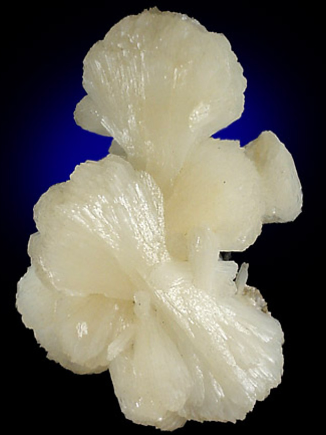 © Specimen and photo Paul Gilmore