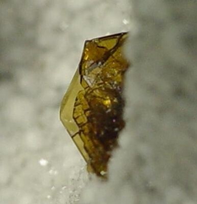 mindat.org - Fayalite