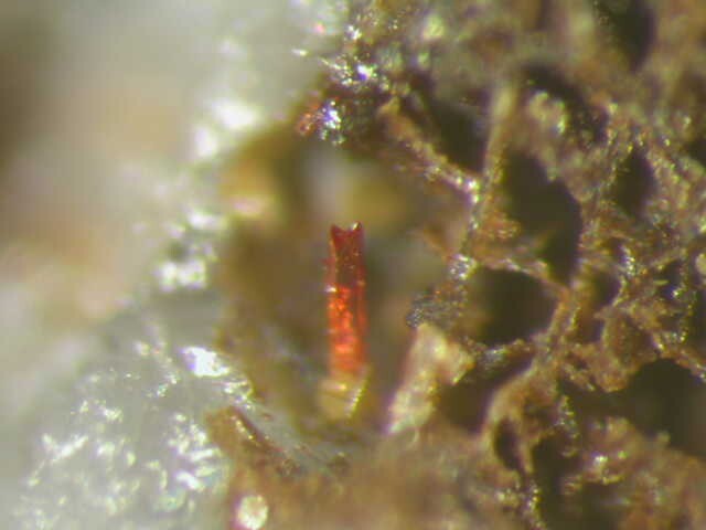 Silver Coin Mine, Valmy, Iron Point Mining District, Humboldt County ...