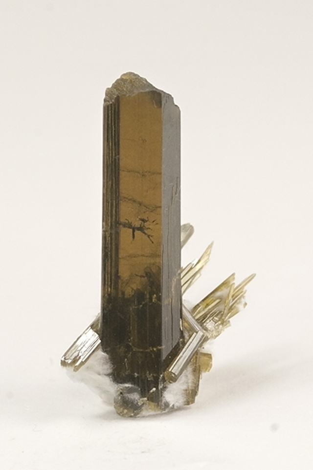 Clinozoisite, Amphibole Supergroup (Var: Byssolite)