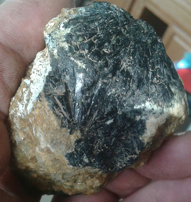 Utopian Mine (United Mining Co. Mine), Delaware Mining District, Pine ...