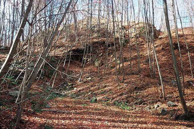 BEMCO prospect (Charlotte Mine), Cranberry Lake, Byram Township, Sussex ...