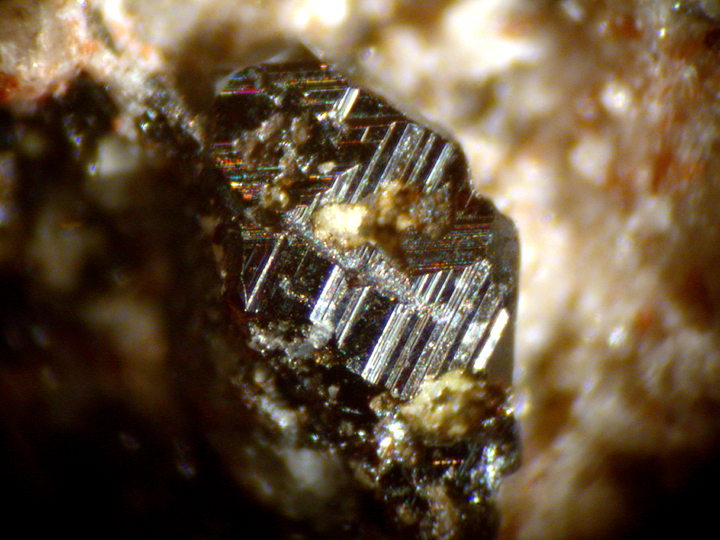 04743930017272739658560.jpg?cachekick=1