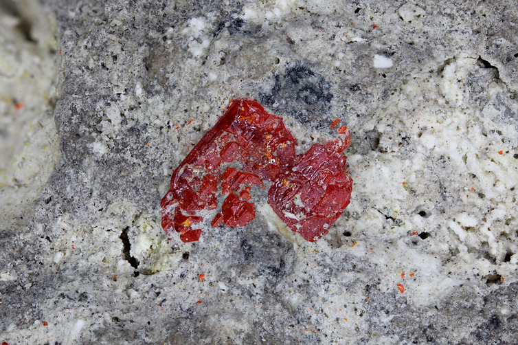 Lake Rotokawa, Wairakei, Taupo District, Waikato Region, New Zealand