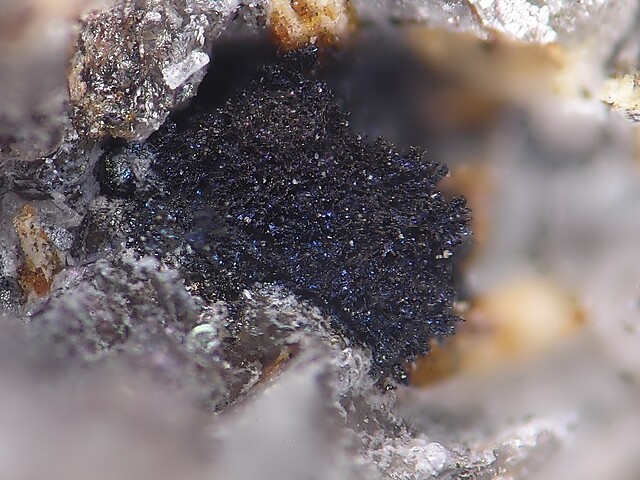 Tenorite