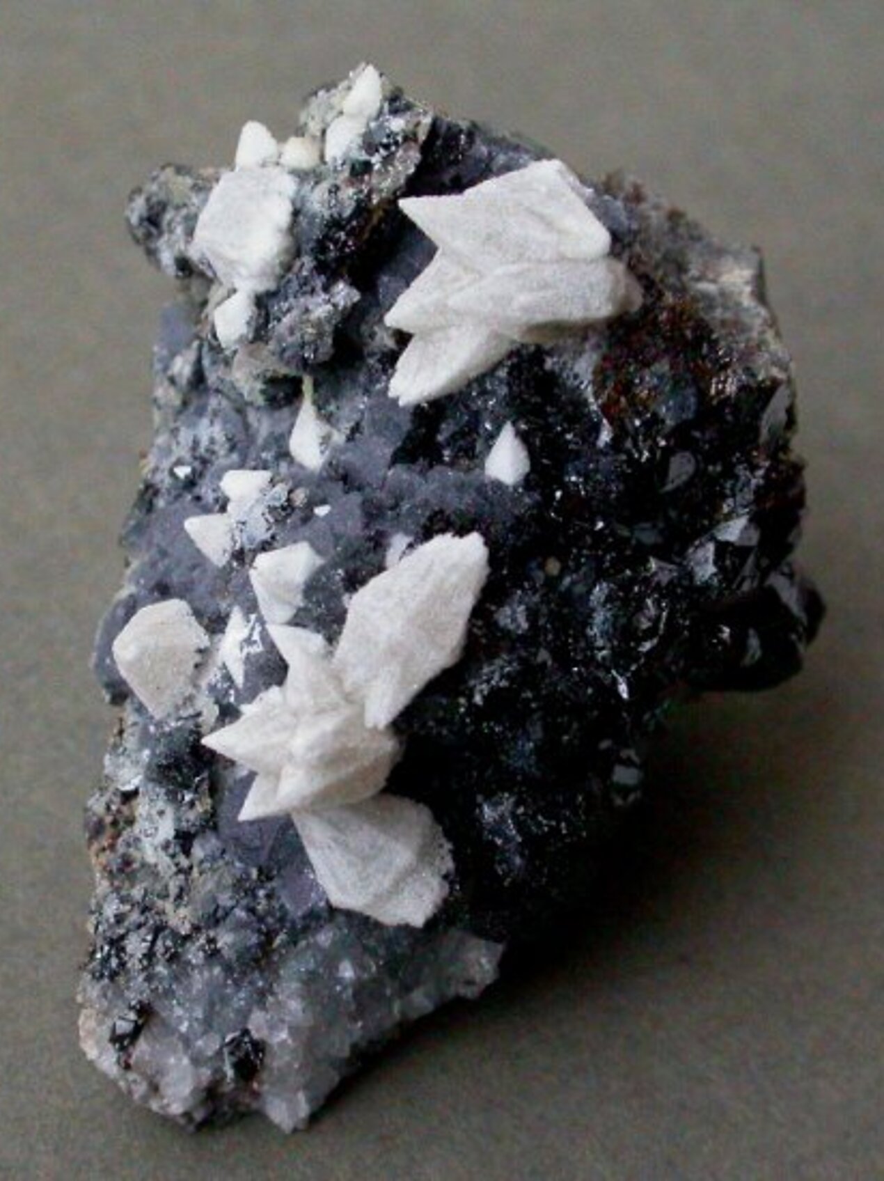 Crystals to 3 mm. P Haas photograph and collection (no. 52-134).