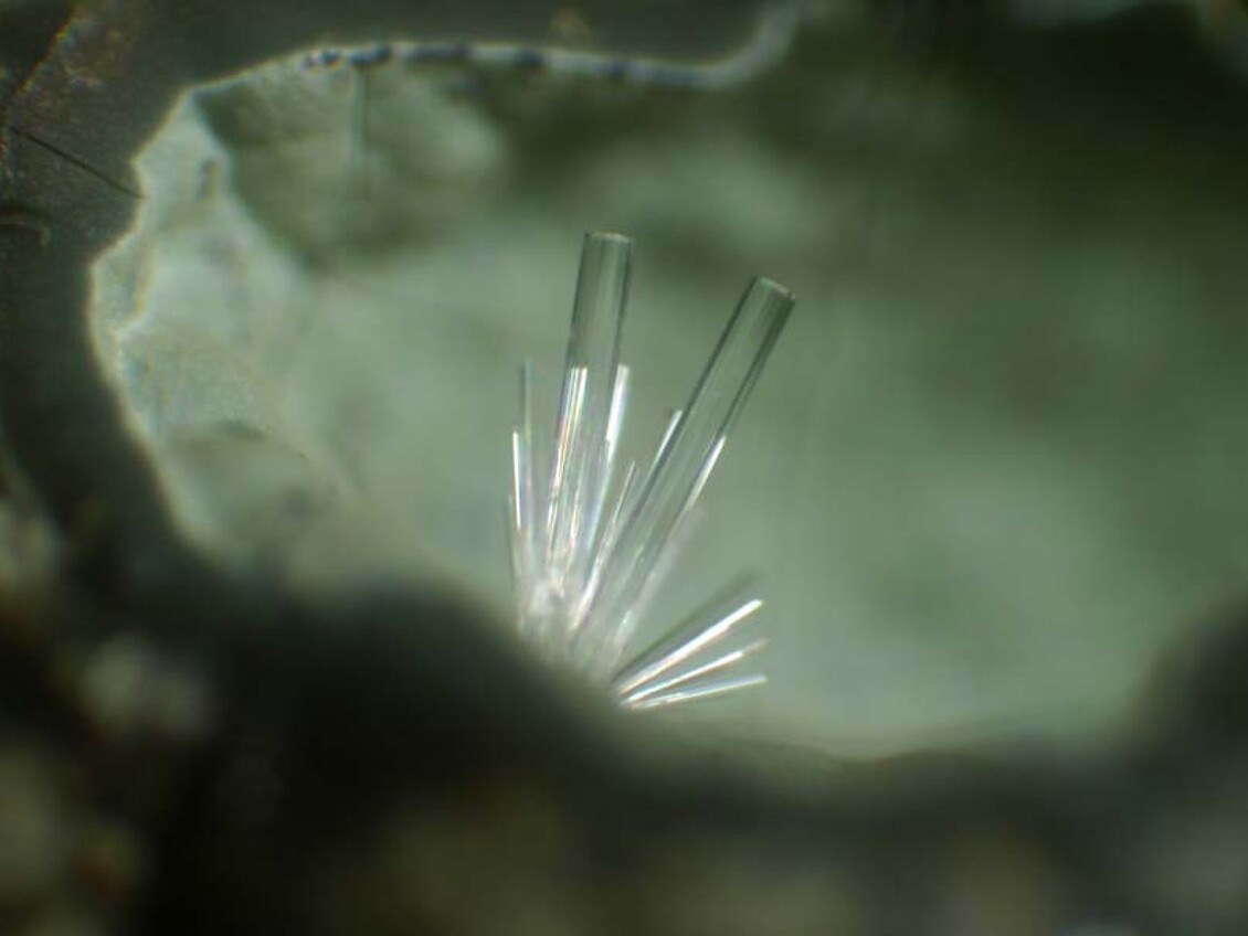 Colorless hexagonal needles of Erionite-K in a small vug. Collection ...