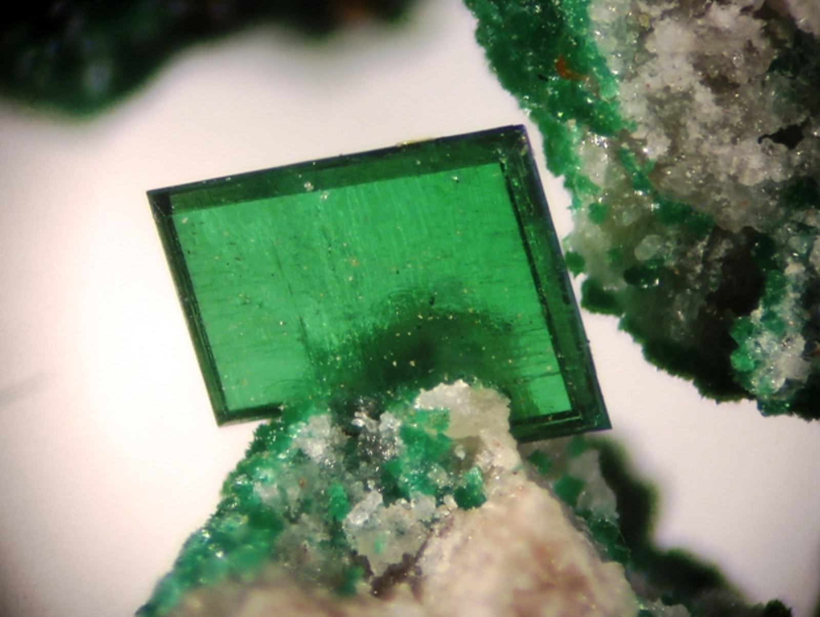 Tabular epitaxial green crystal of torbernite on yellow autunite.Photo ...