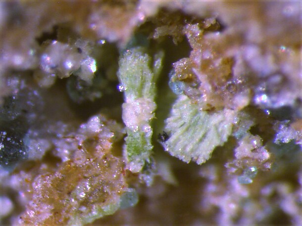 Kunatite: Mineral information, data and localities.