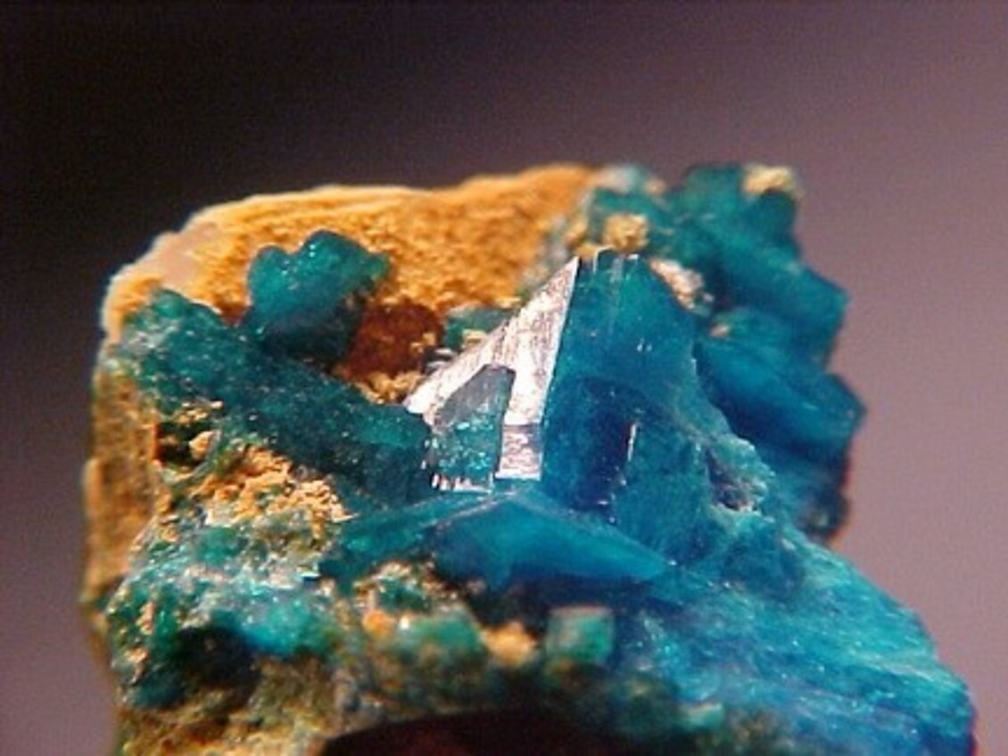 1,5 mm crystal, minor matrix – Photo and collection François Périnet