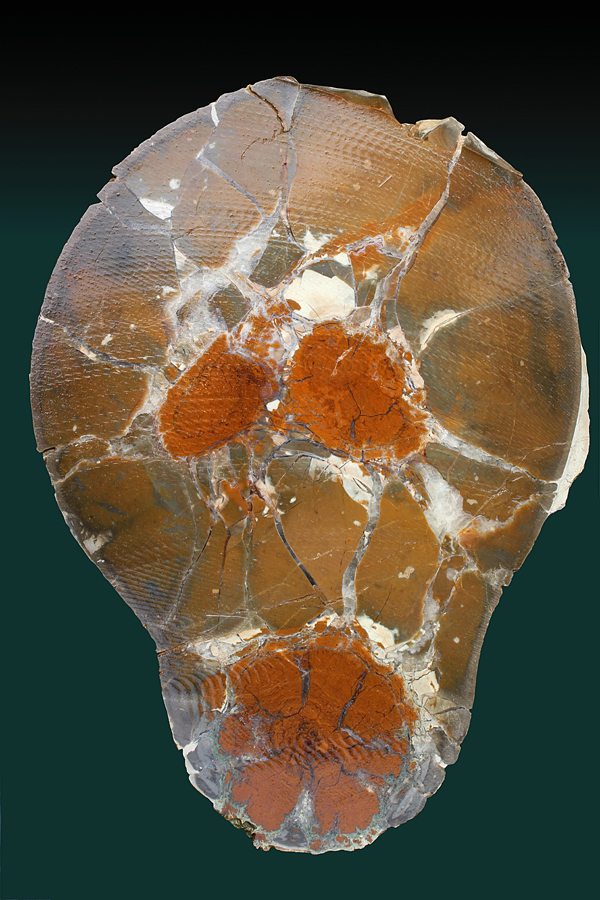 Lusiana, Lusiana Conco, Vicenza Province, Veneto, Italy