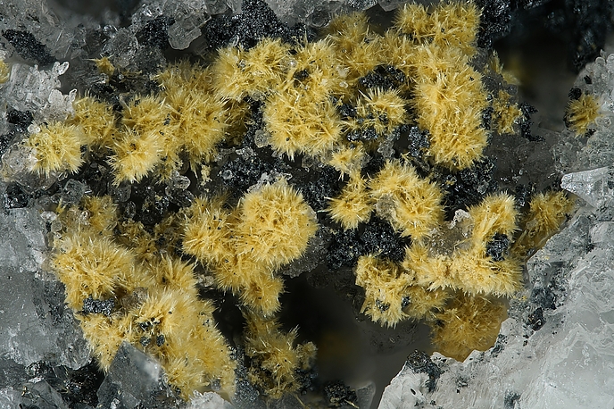 Cervantite: Mineral information, data and localities.