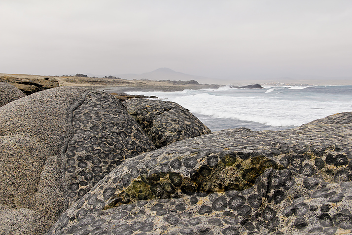 Orbiculite: Mineral information, data and localities.