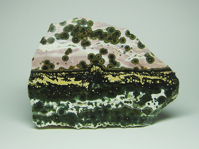 Orbicular Jasper