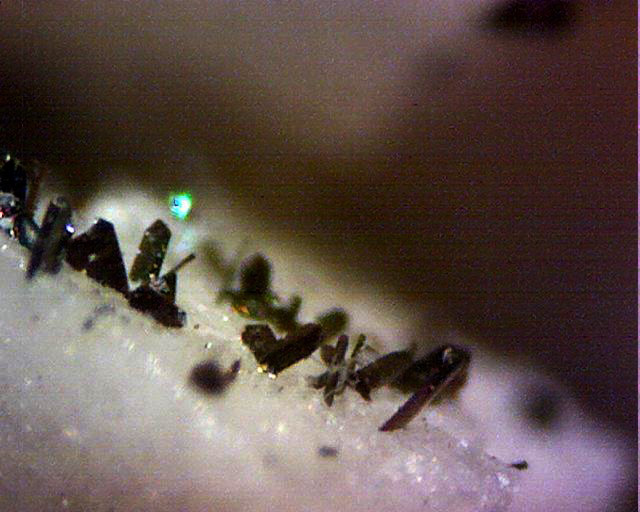 Lincoln Quarry (Beamsville Quarry), Clinton Township, Niagara Region ...