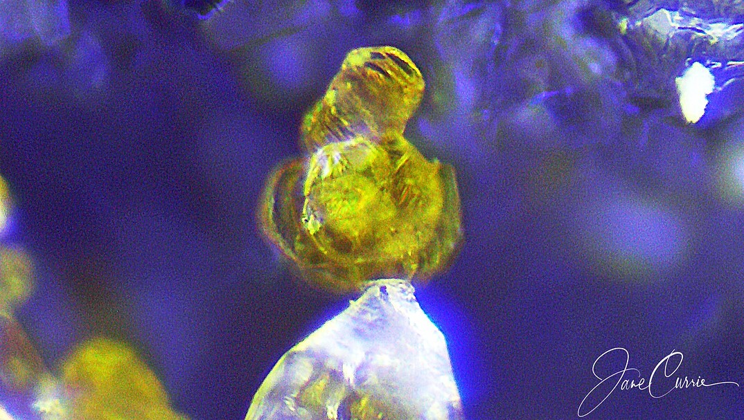 Alcaparrosa Mine, Sierra Gorda, Antofagasta Province, Antofagasta, Chile