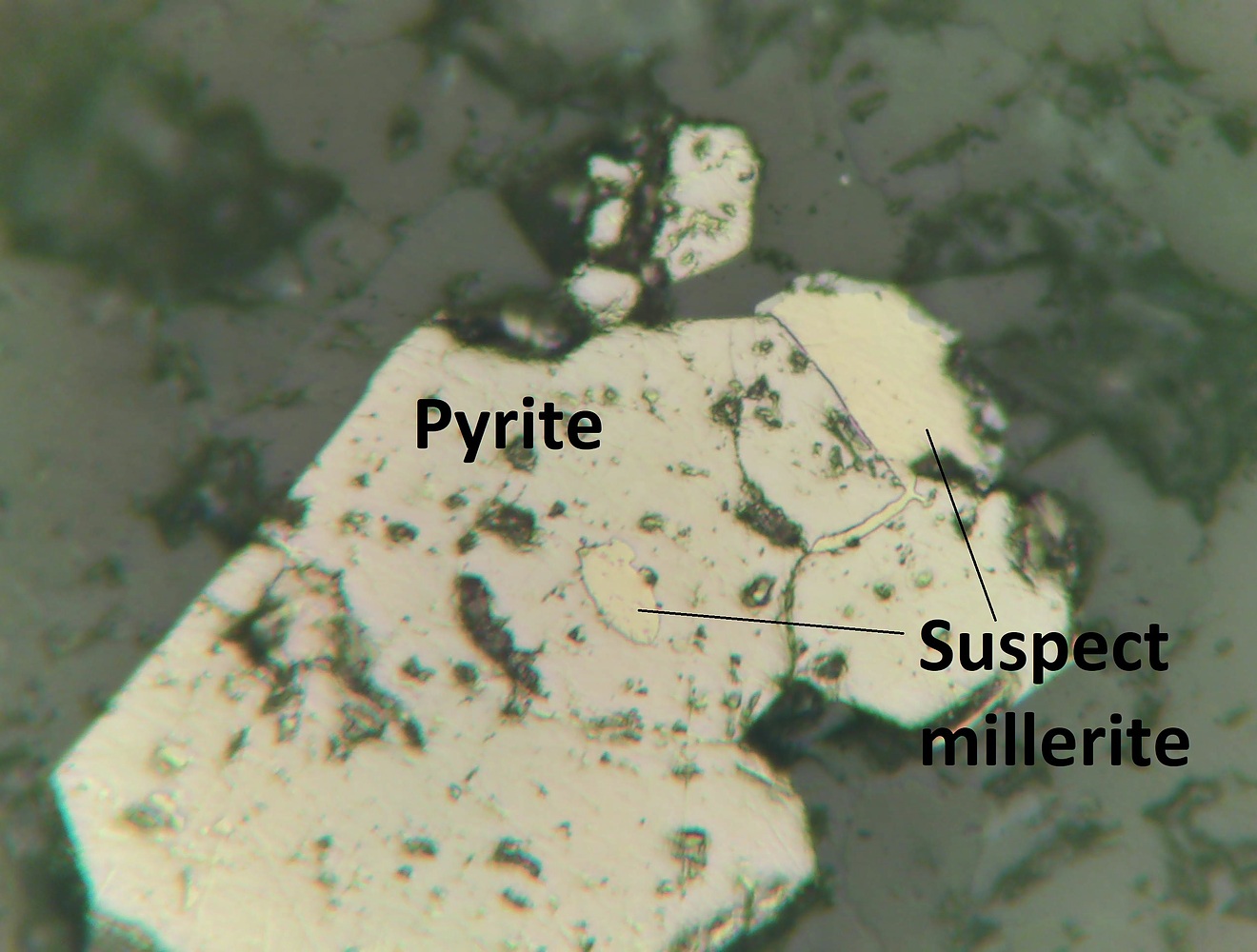 Identity Help : Millerite? (reflected light)