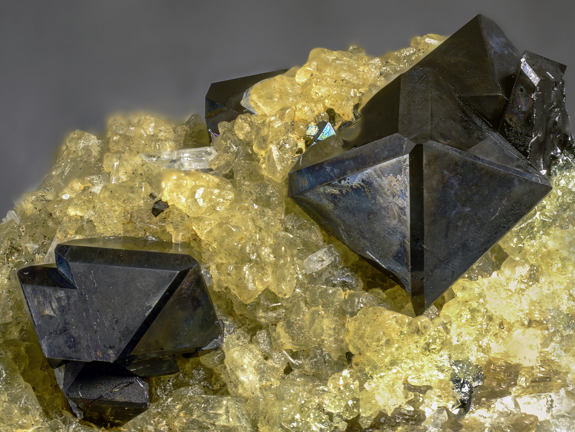 © Matteo Chinellato