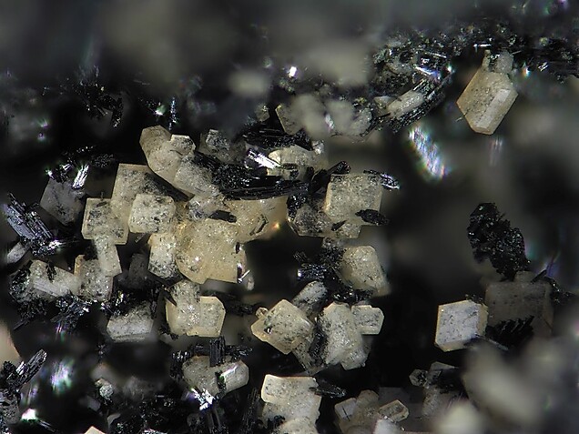 Hagendorf South Pegmatite, Hagendorf, Waidhaus, Neustadt an der ...