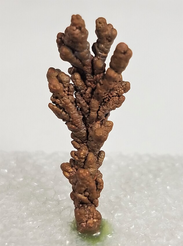 Utah County, Utah, USA