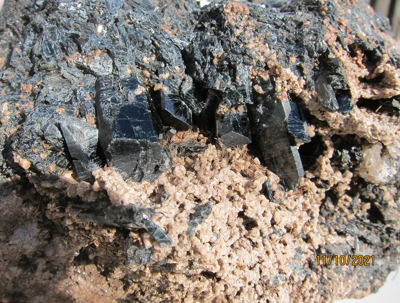 Identity Help : Tory Hill ,Ontario