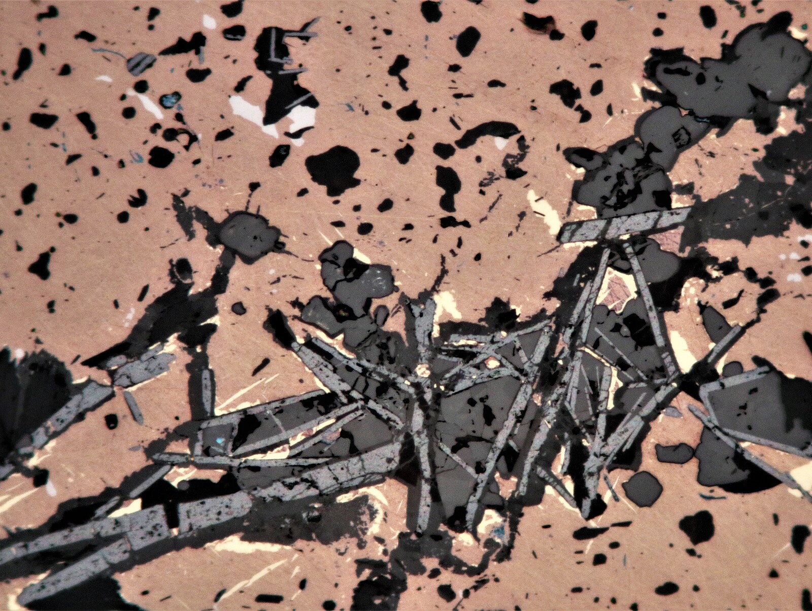 Leucoxene, Bornite, Chalcopyrite, Digenite