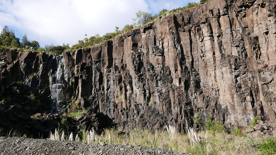 Te Henga Road quarry, Waitakere Ranges, Auckland Region, New Zealand