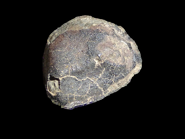 Allende meteorite, Pueblito de Allende, Chihuahua, Mexico