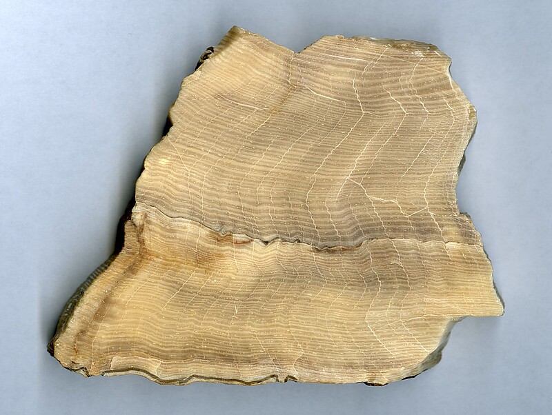 Holbrook, Navajo County, Arizona, USA