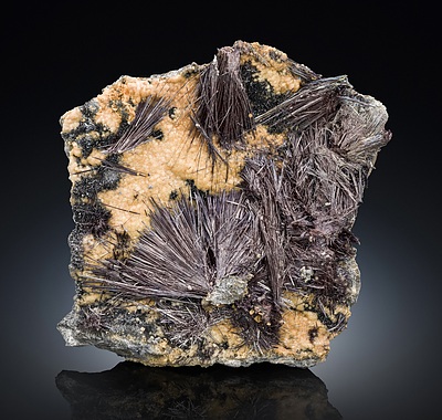 07681670017427178285698.jpg?cachekick=1