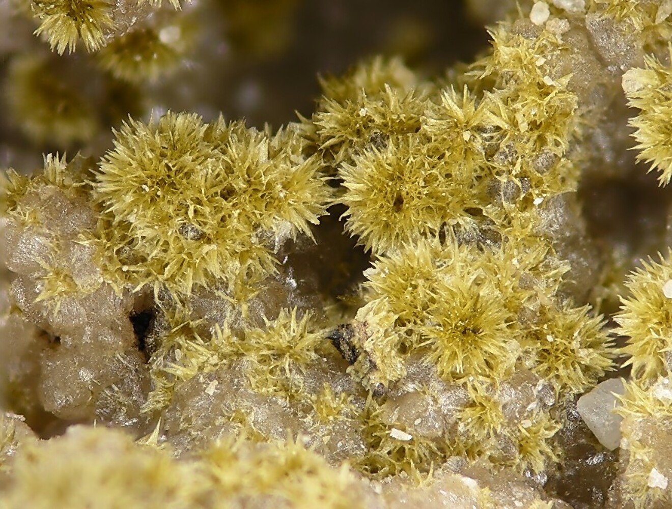 Photos : not Meurigite-K