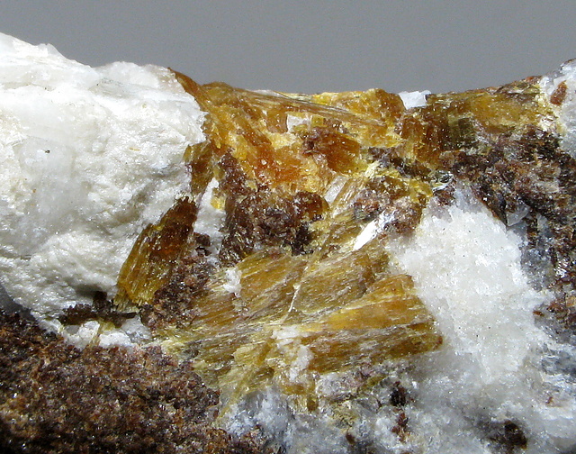 Richterite, Diopside (Var: Schefferite), Calcite