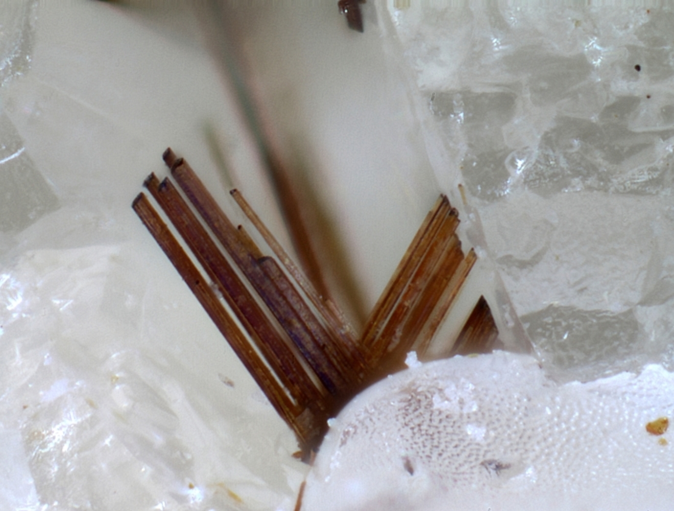 Laachite: Mineral information, data and localities.