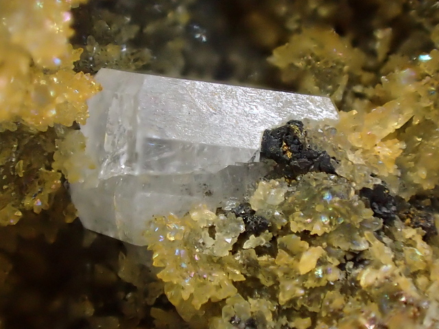 Coloradoite, Native Gold, Celestine