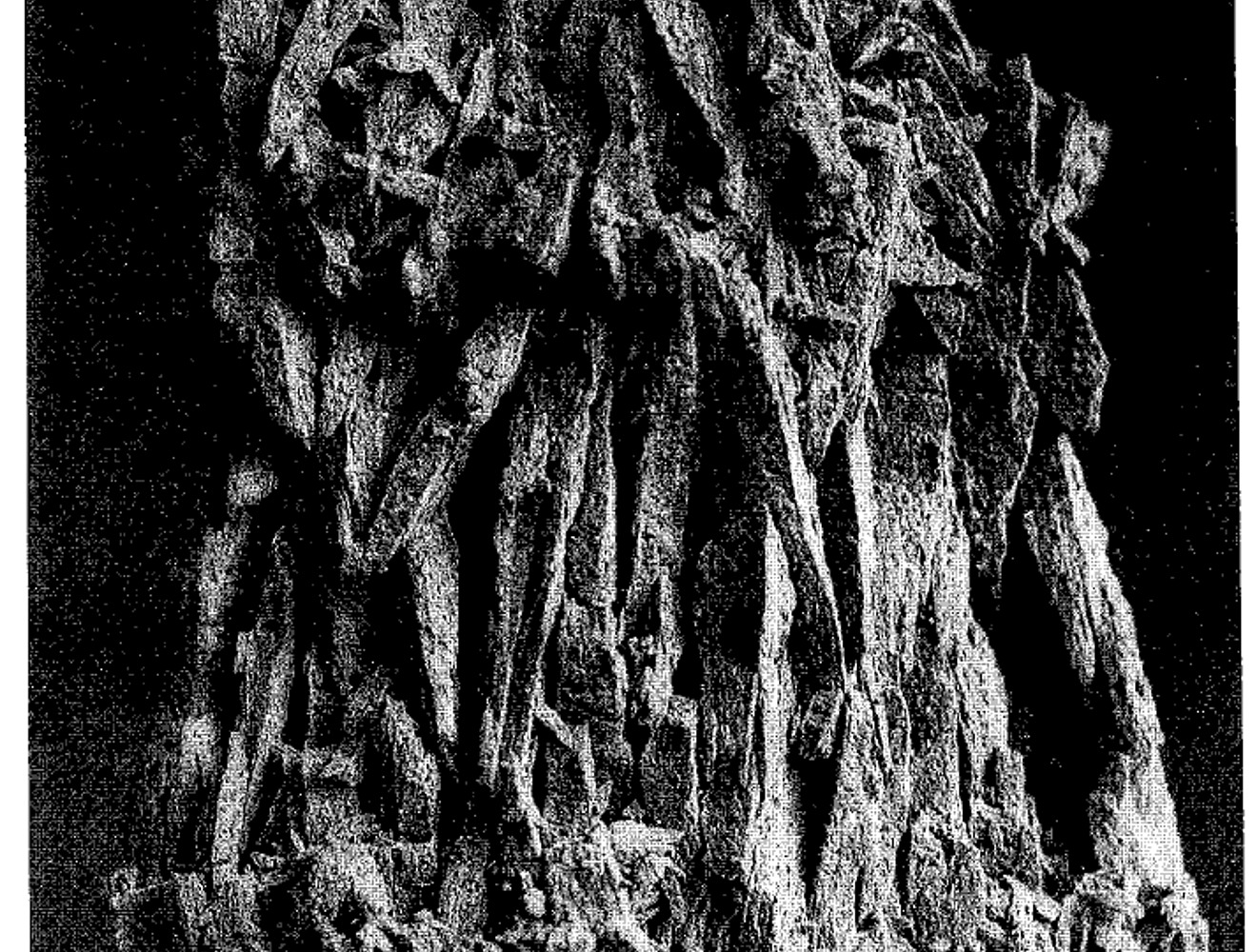 Tufa: Mineral information, data and localities.