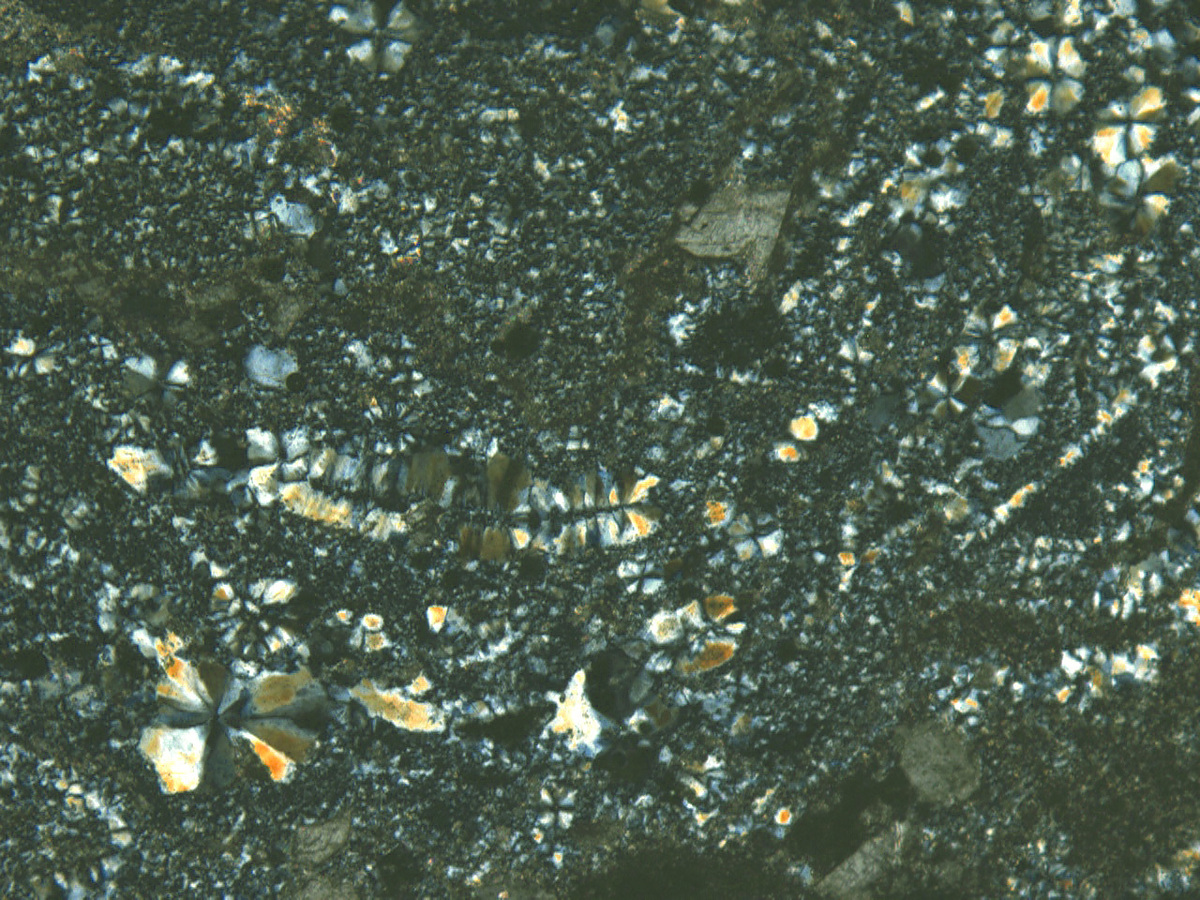 Education : Chert/chalcedony thin sections