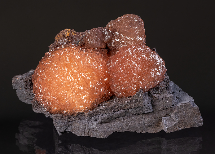 01607910017271950823178.jpg?cachekick=1