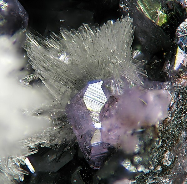 Hagendorf South Pegmatite, Hagendorf, Waidhaus, Neustadt an der ...