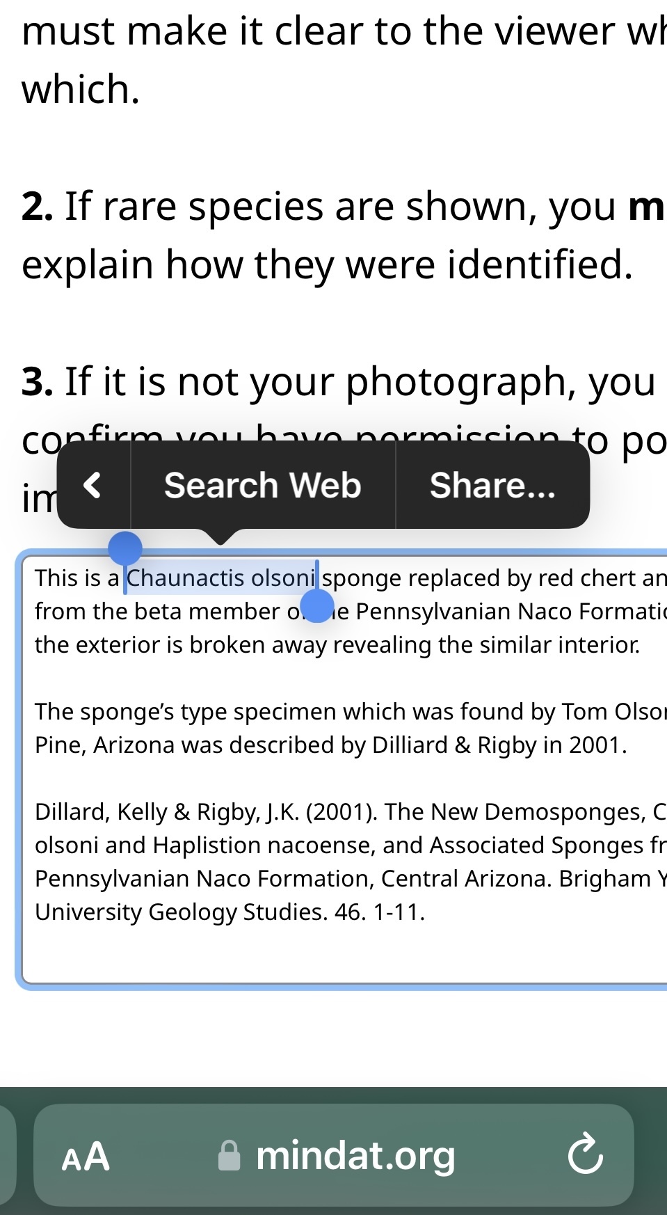 Improving Mindat.org : Formatting long photo descriptions