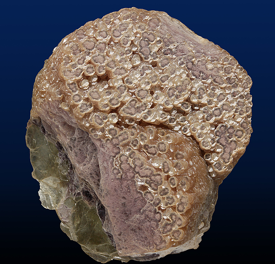 Schernikite: Mineral information, data and localities.