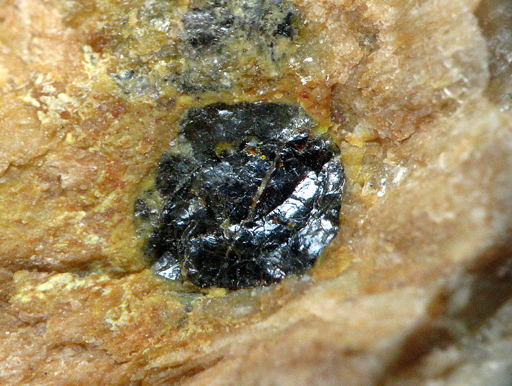 Thorian Uraninite: Mineral information, data and localities.