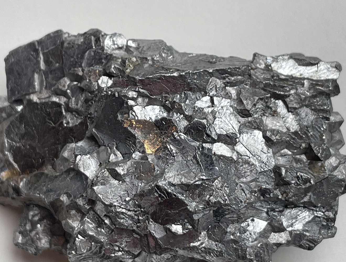 Identity Help : No idea