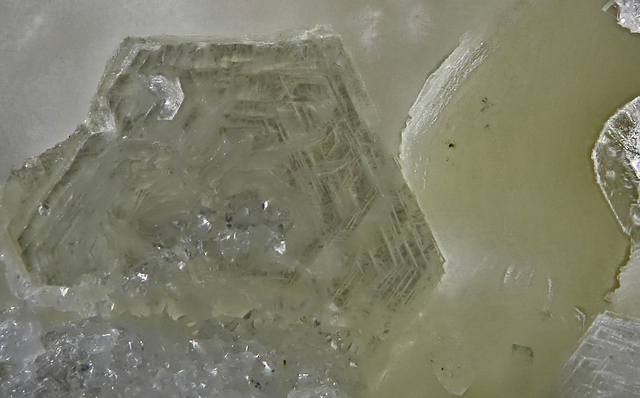 Muscovite