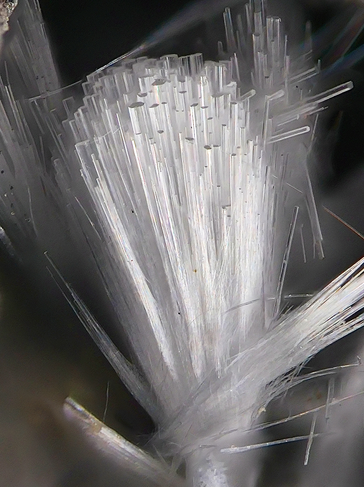 Colorless hexagonal needles of Erionite-K in a small vug. Collection ...