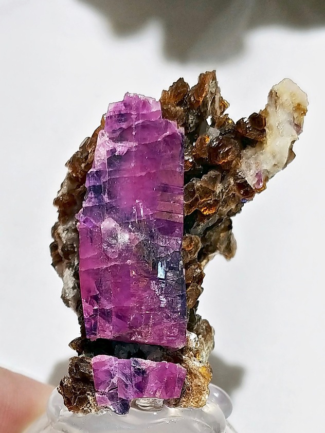 Chumar ruby digs, Ruby Valley, Dhading District, P3 Bagmati Pradesh, Nepal