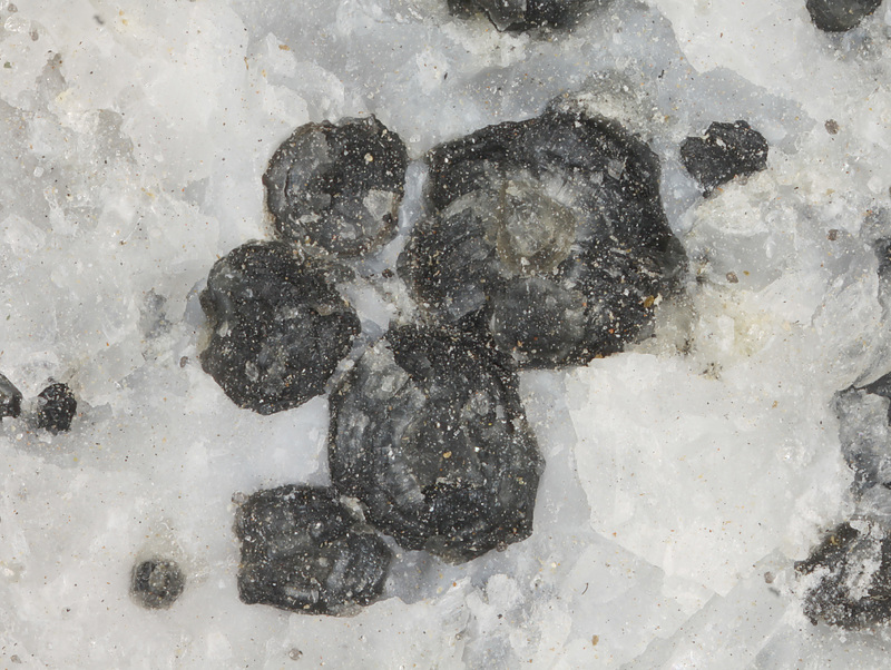 Periclase, Brucite, Calcite