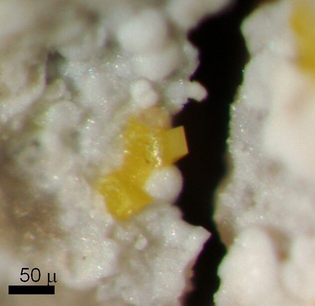 Beverley Mine, Paralana High Plains, Wooltana Station (Wooltana ...