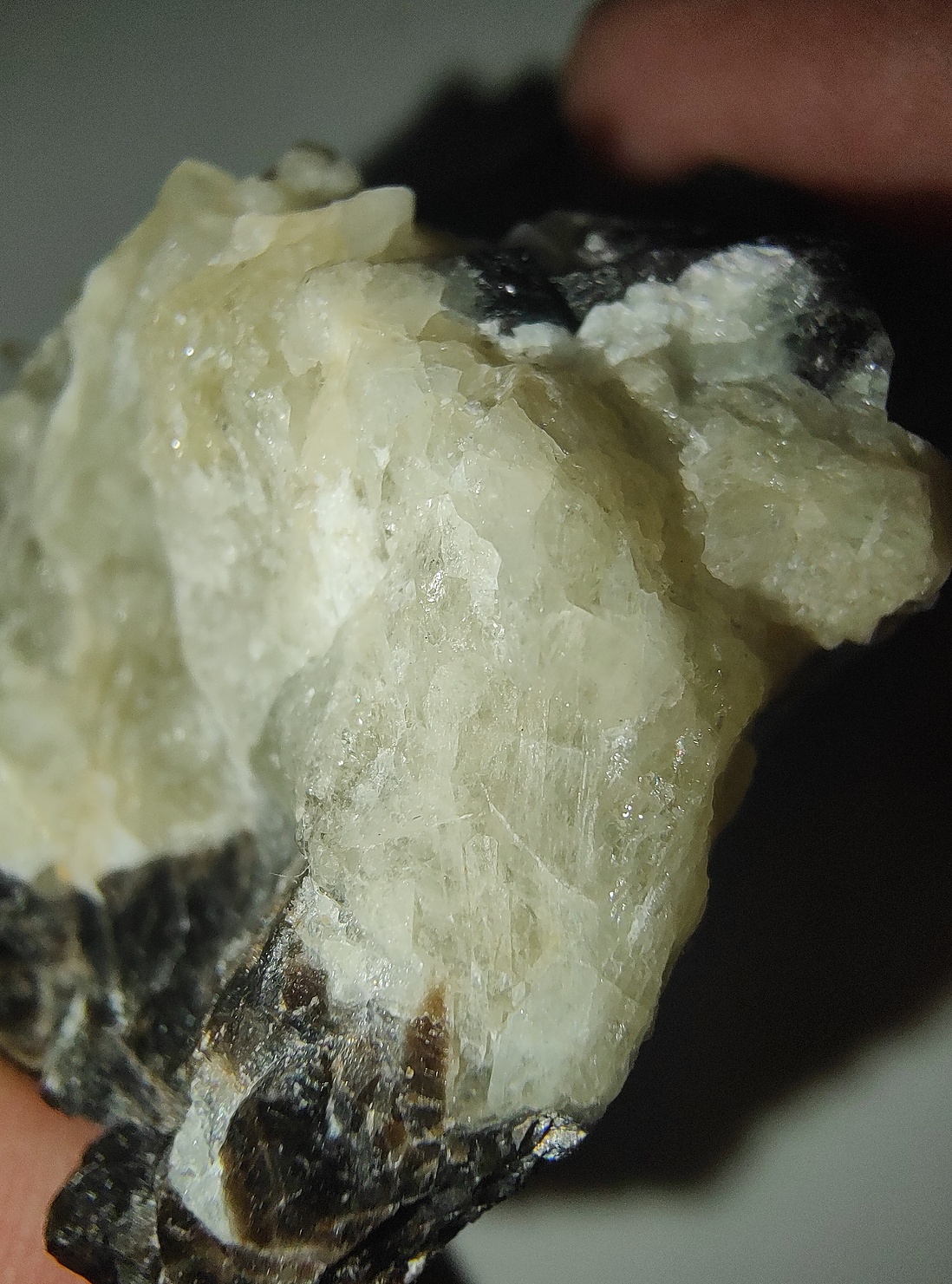 Identity Help : Hedenbergite with what?