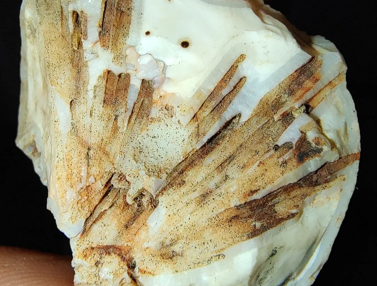 Identity Help : Crystal shape in quartz