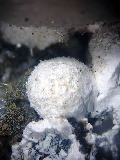 Hyblean Plateau (Hyblean Mountains; Hyblaean Plateau; Hyblaean ...